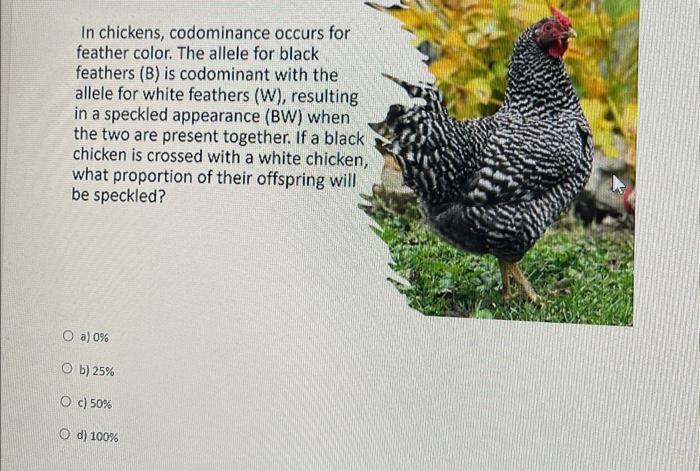 Solved In chickens, codominance occurs for feather color. | Chegg.com
