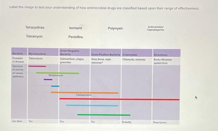 Solved Label the image to test your understanding of how | Chegg.com