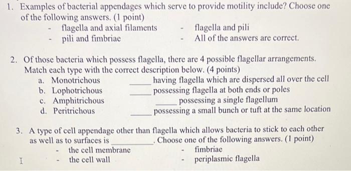 Solved 1. Examples of bacterial appendages which serve to | Chegg.com