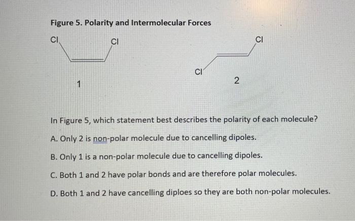 Solved Figure 5. Polarity and Intermolecular Forces In | Chegg.com
