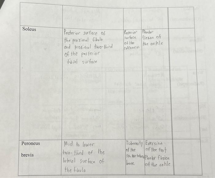 Solved what are the positions against gravity and position | Chegg.com