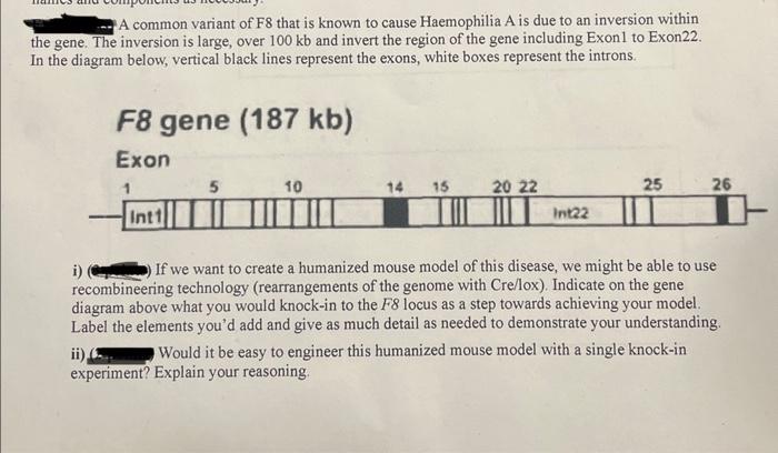 Solved The F8 gene encodes for a protein ( 2351 amino acids) | Chegg.com