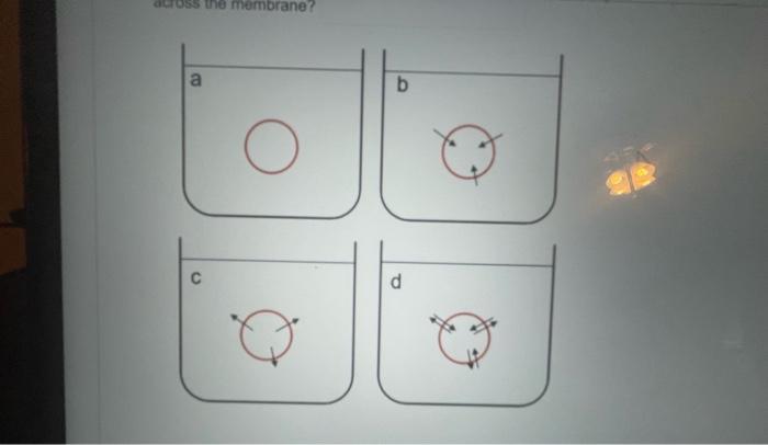 Solved The figure on the right represents a red blood cell | Chegg.com