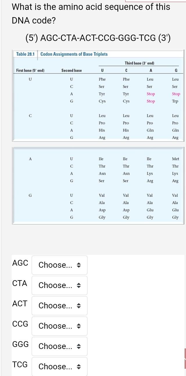 Solved What is the amino acid sequence of this DNA code? | Chegg.com