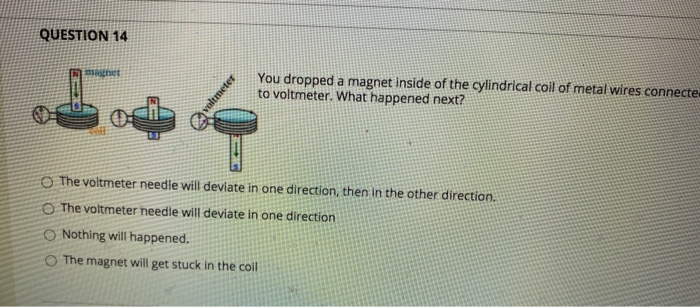 QUESTION 13 Who establish the positional decimal | Chegg.com
