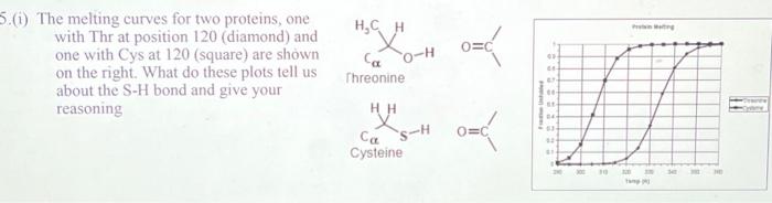 Solved (i) The melting curves for two proteins, one with Thr | Chegg.com