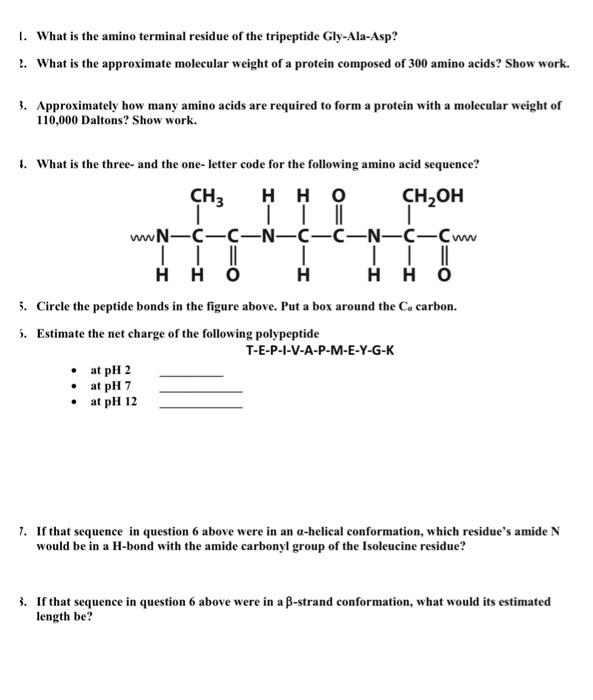 Solved 1. What is the amino terminal residue of the | Chegg.com