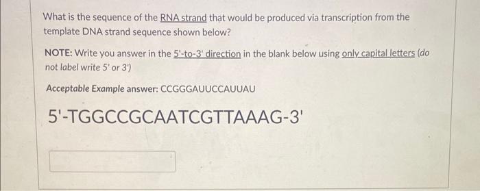 Solved What is the sequence of the RNA strand that would be | Chegg.com