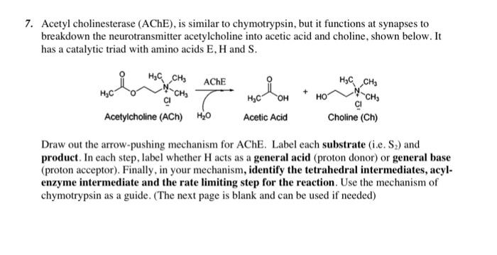 Acetyl cholinesterase (AChE), is similar to | Chegg.com