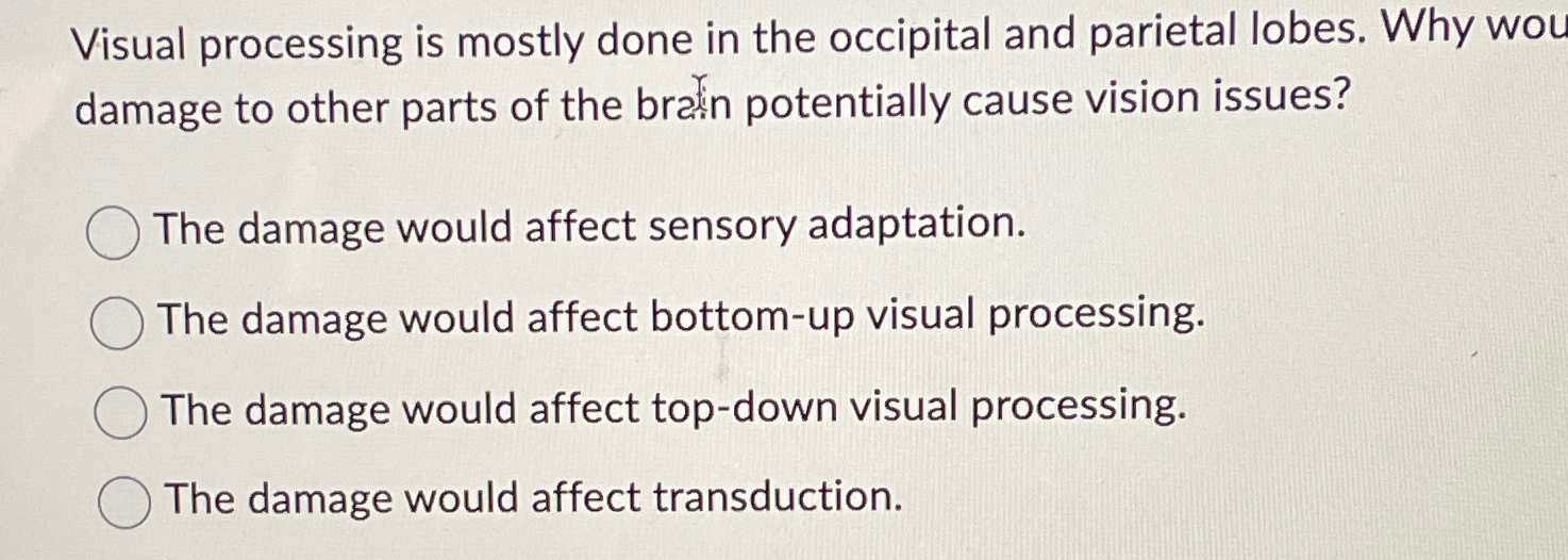 Solved Visual processing is mostly done in the occipital and | Chegg.com