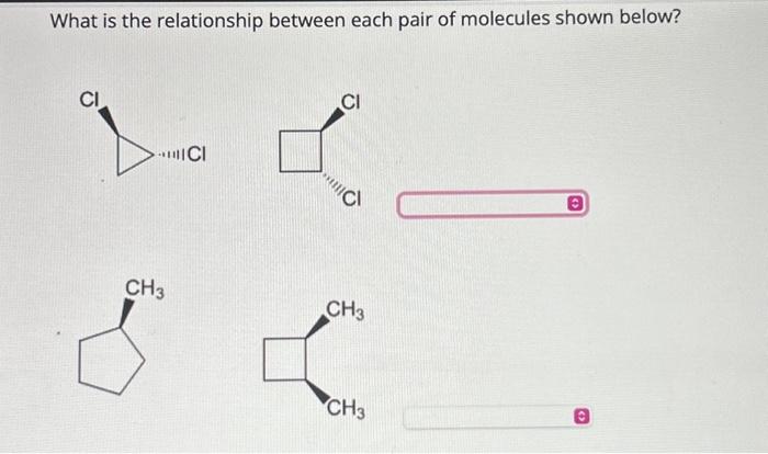 Solved What is the relationship between each pair of | Chegg.com