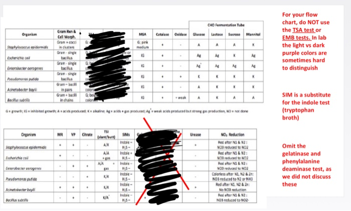 For your flow chart, do NOT use the TSA test or EMB | Chegg.com