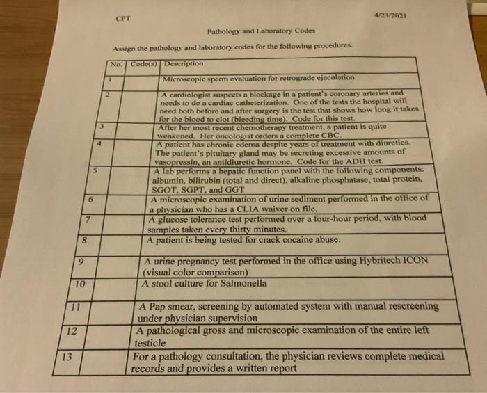 Solved 4/23/2021 CPT 1 Pathology and Laboratory Codes | Chegg.com