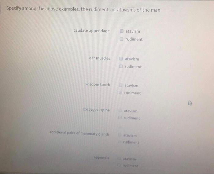 Solved Specify among the above examples, the rudiments or | Chegg.com