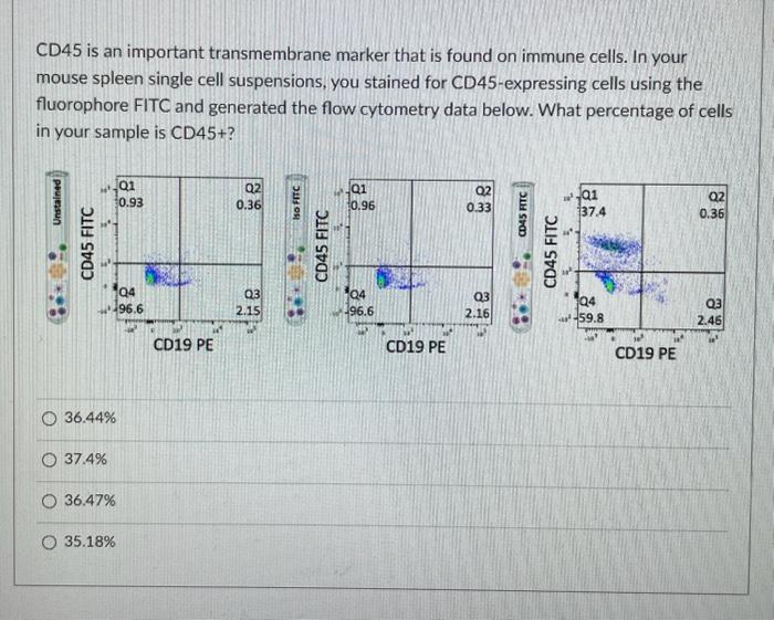 Solved CD45 is an important transmembrane marker that is | Chegg.com