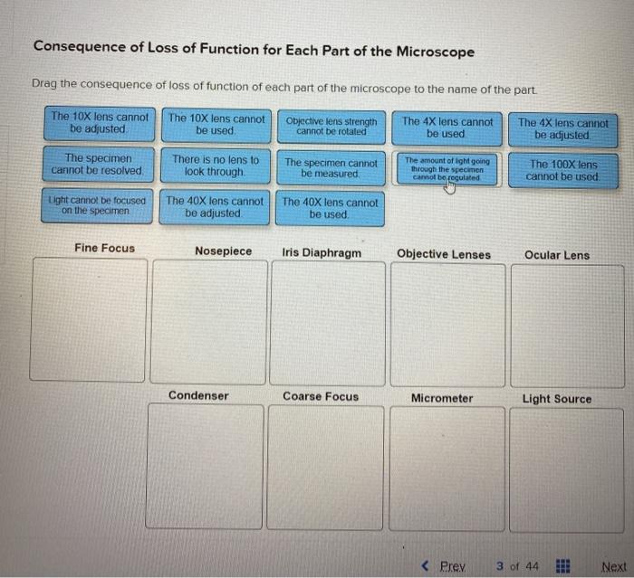 Solved Consequence of Loss of Function for Each Part of the | Chegg.com