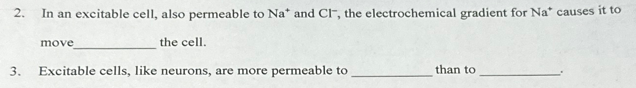 Solved In an excitable cell, also permeable to Na+and Cl-, | Chegg.com