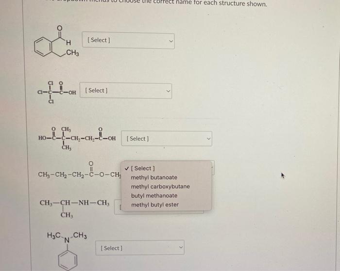 Solved Use the dropdown menus to choose the correct name for | Chegg.com