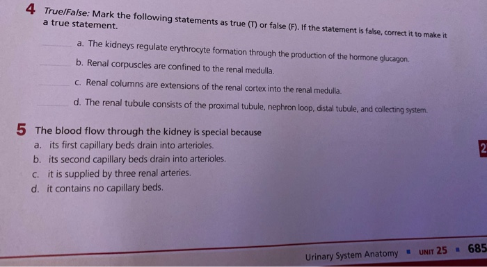 Solved True/False: Mark the following statements as true (T) | Chegg.com