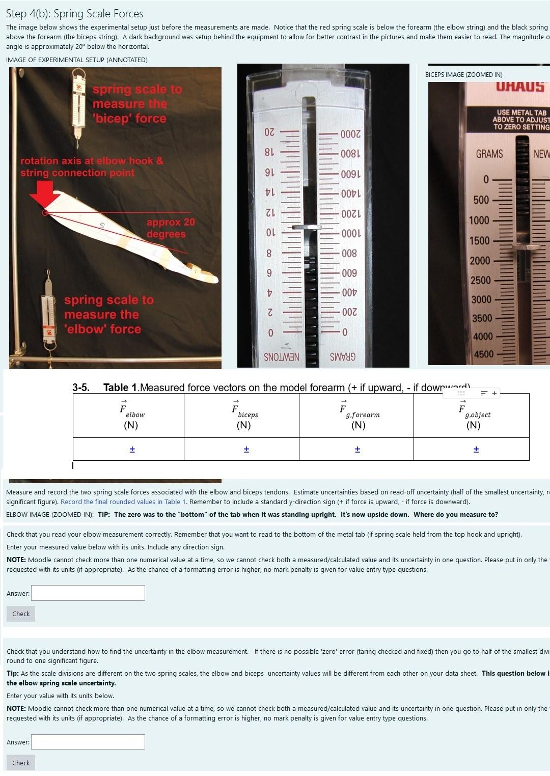 Solved Step 4(b): Spring Scale Forces The image below shows | Chegg.com