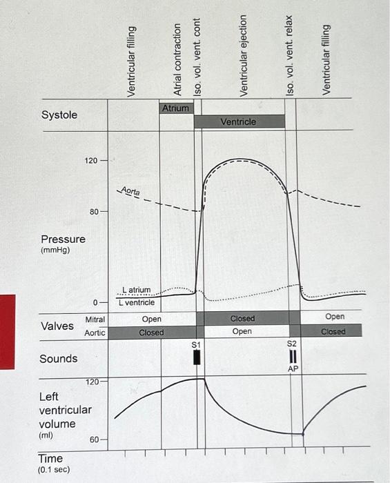 Solved Systole Pressure (mmHg) Valves Sounds 120 Time (0.1 | Chegg.com