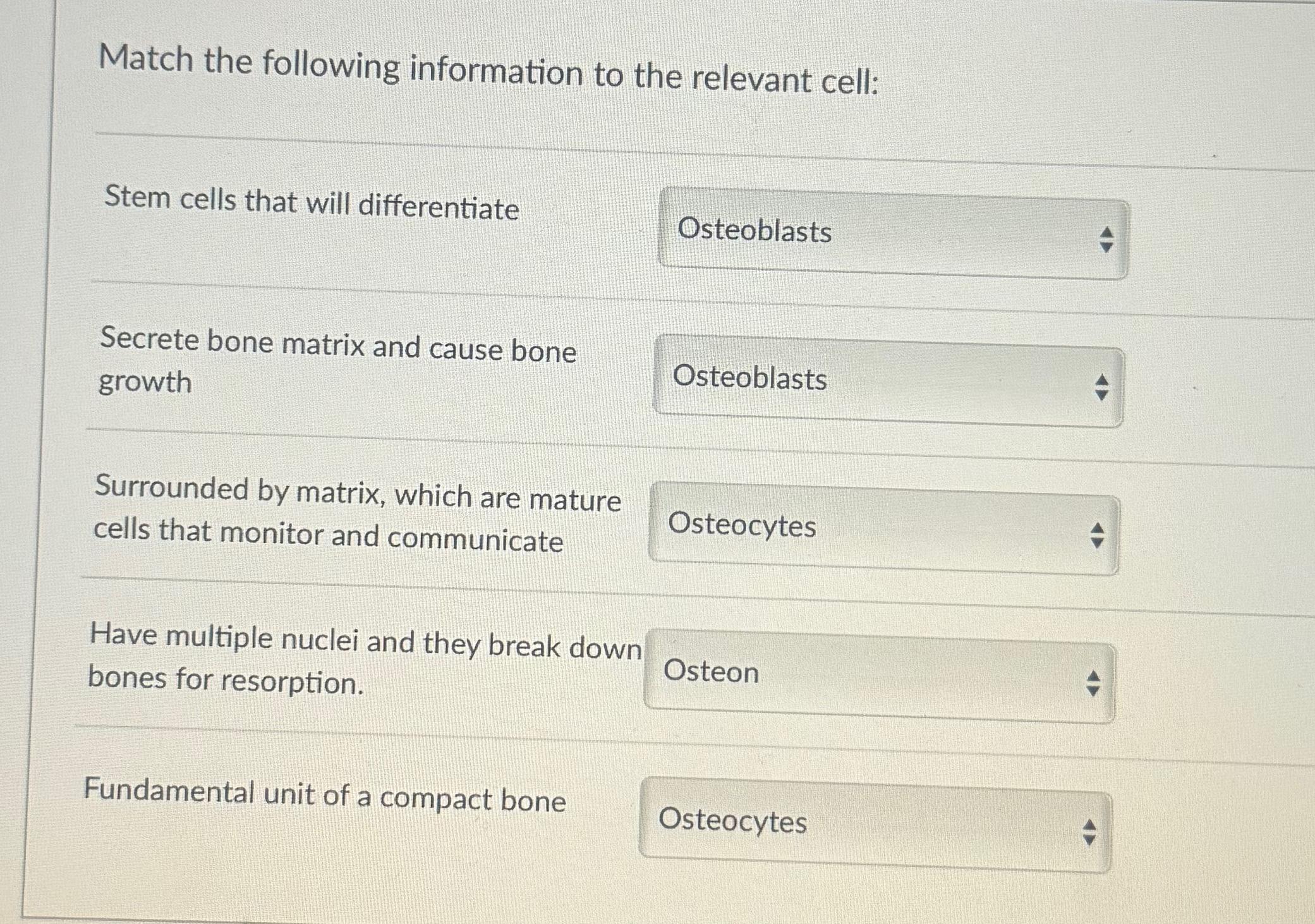 Solved Match the following information to the relevant | Chegg.com