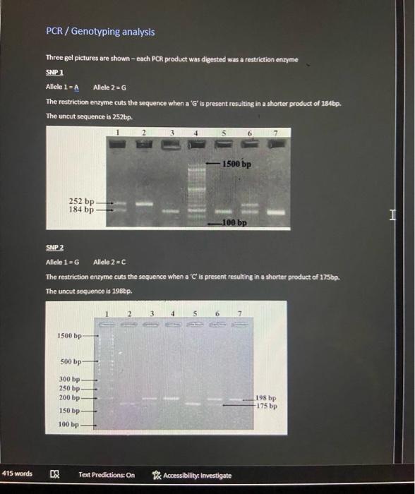 PCR / Genotyping analysis Three gel pictures are | Chegg.com