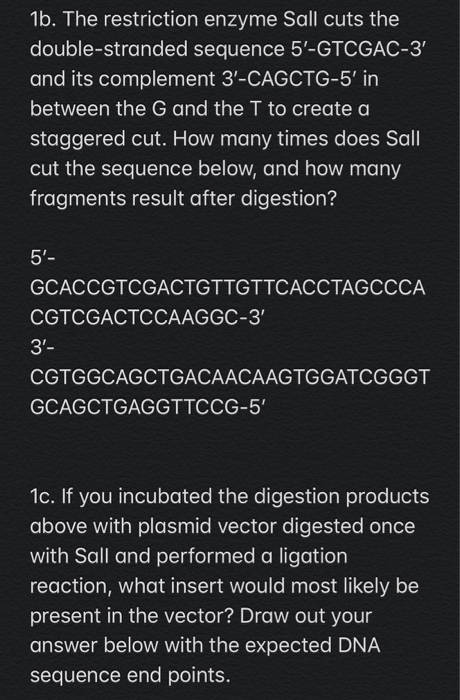 Solved 1b. The restriction enzyme Sall cuts the | Chegg.com