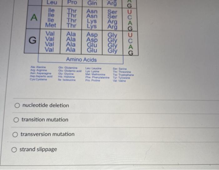 Solved A single base substitution caused the amino acid | Chegg.com