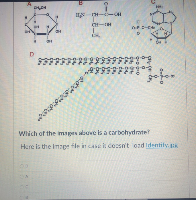 Solved А CH2OH NH2 B II H2N-CH-C-OH H H OH H CH-OH 1 OH OH | Chegg.com