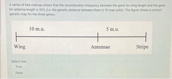 Solved [Question 33 and 34] You are doing a breeding | Chegg.com