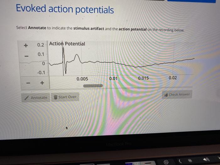 Solved Evoked action potentials Select Annotate to indicate | Chegg.com