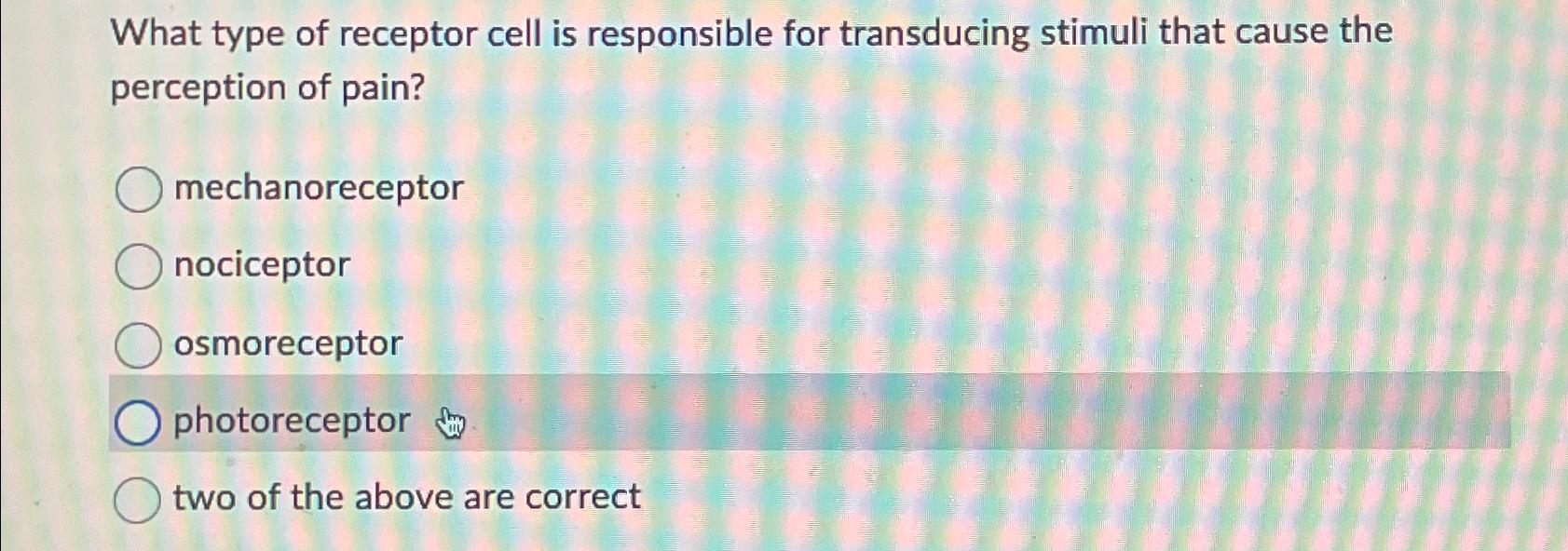 Solved What type of receptor cell is responsible for | Chegg.com