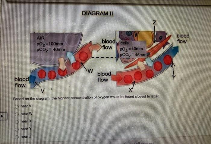 Solved DIAGRAM TI Z AIR blood flow pO2 = 100mm PCO2 = 40mm | Chegg.com