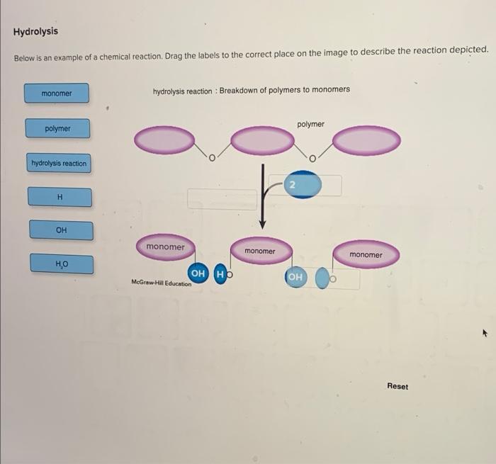 Solved Hydrolysis Below is an example of a chemical reaction | Chegg.com