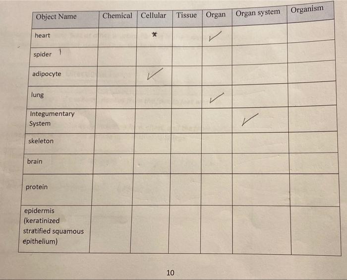 Solved Classify each object by the level of organization it | Chegg.com