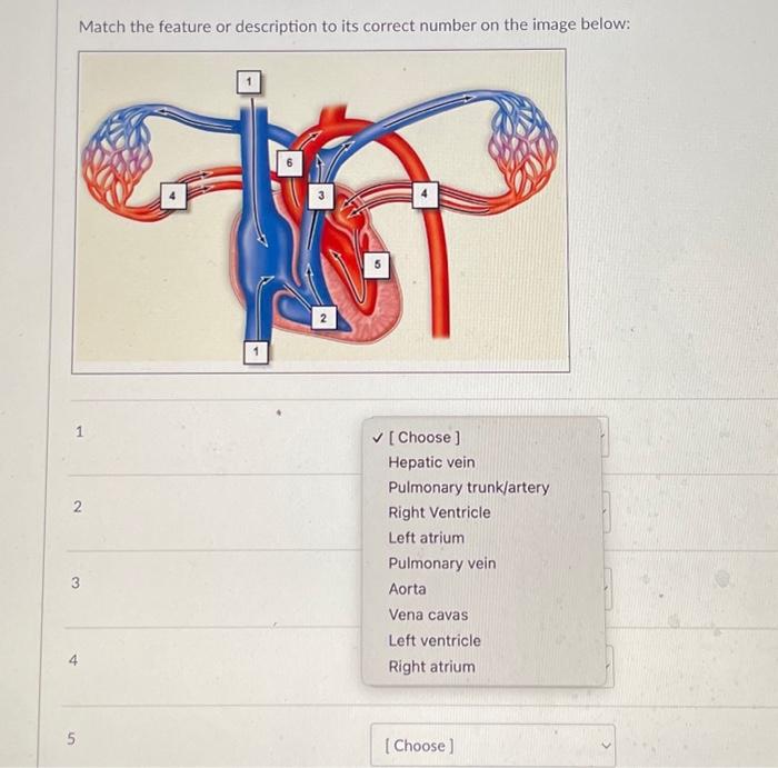Solved 1 Match the feature or description to its correct | Chegg.com