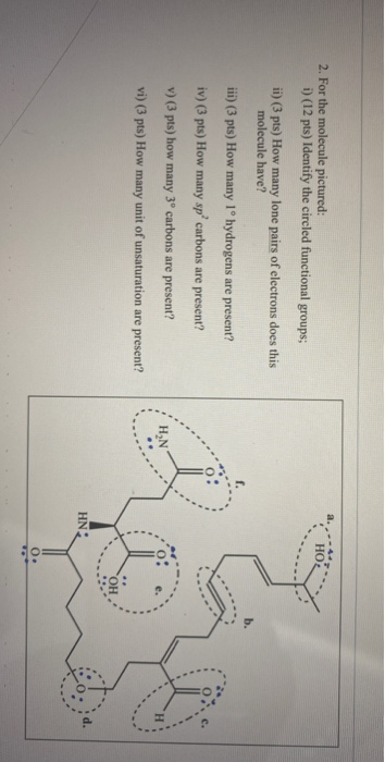 Solved 2. For the molecule pictured: i) (12 pts) Identify | Chegg.com