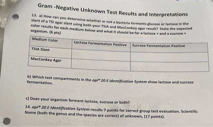 Solved Gram -Negative Unknown Test Results and | Chegg.com
