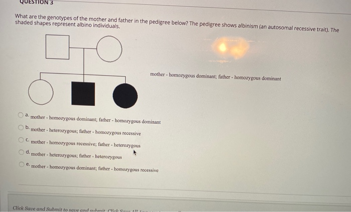 Solved QUESTION 3 What are the genotypes of the mother and | Chegg.com