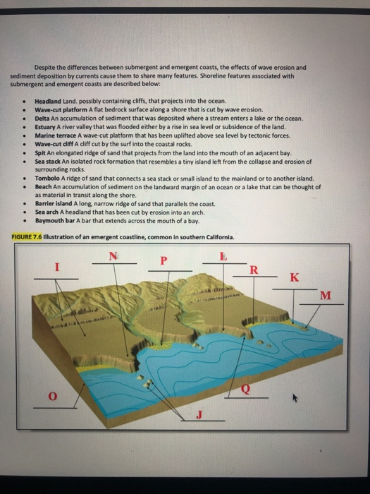 Solved Despite the differences between submergent and | Chegg.com