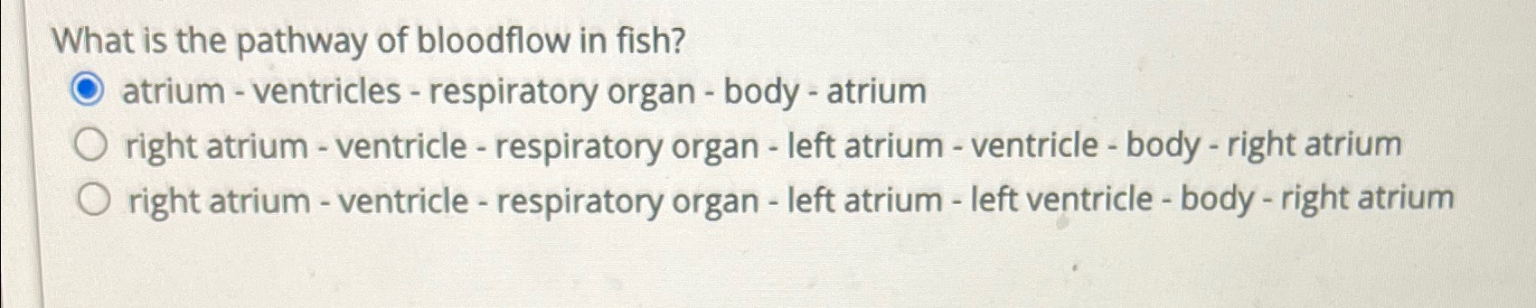 Solved What is the pathway of bloodflow in fish?atrium - | Chegg.com