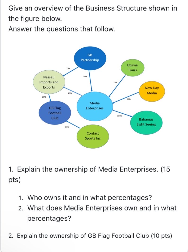 Solved Give an overview of the Business Structure shown in | Chegg.com