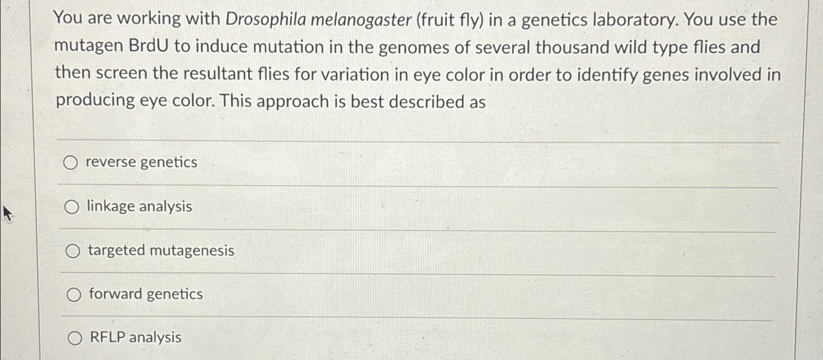 Solved You are working with Drosophila melanogaster (fruit | Chegg.com