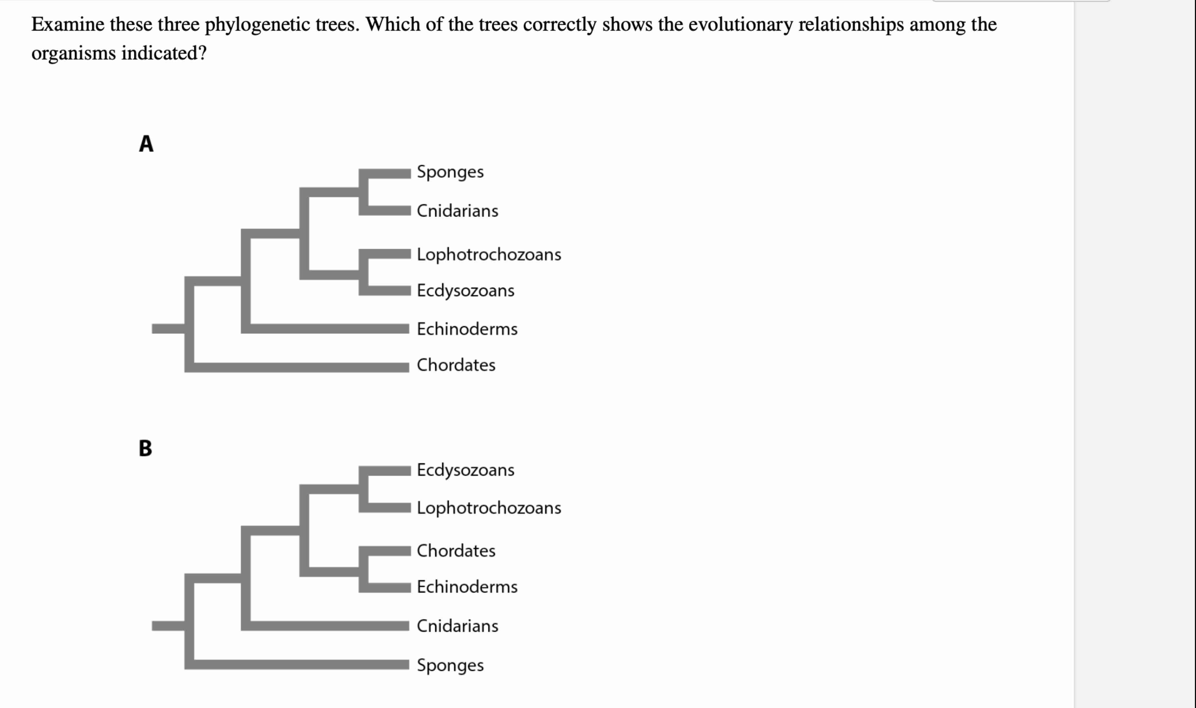 Solved Examine these three phylogenetic trees. Which of the | Chegg.com