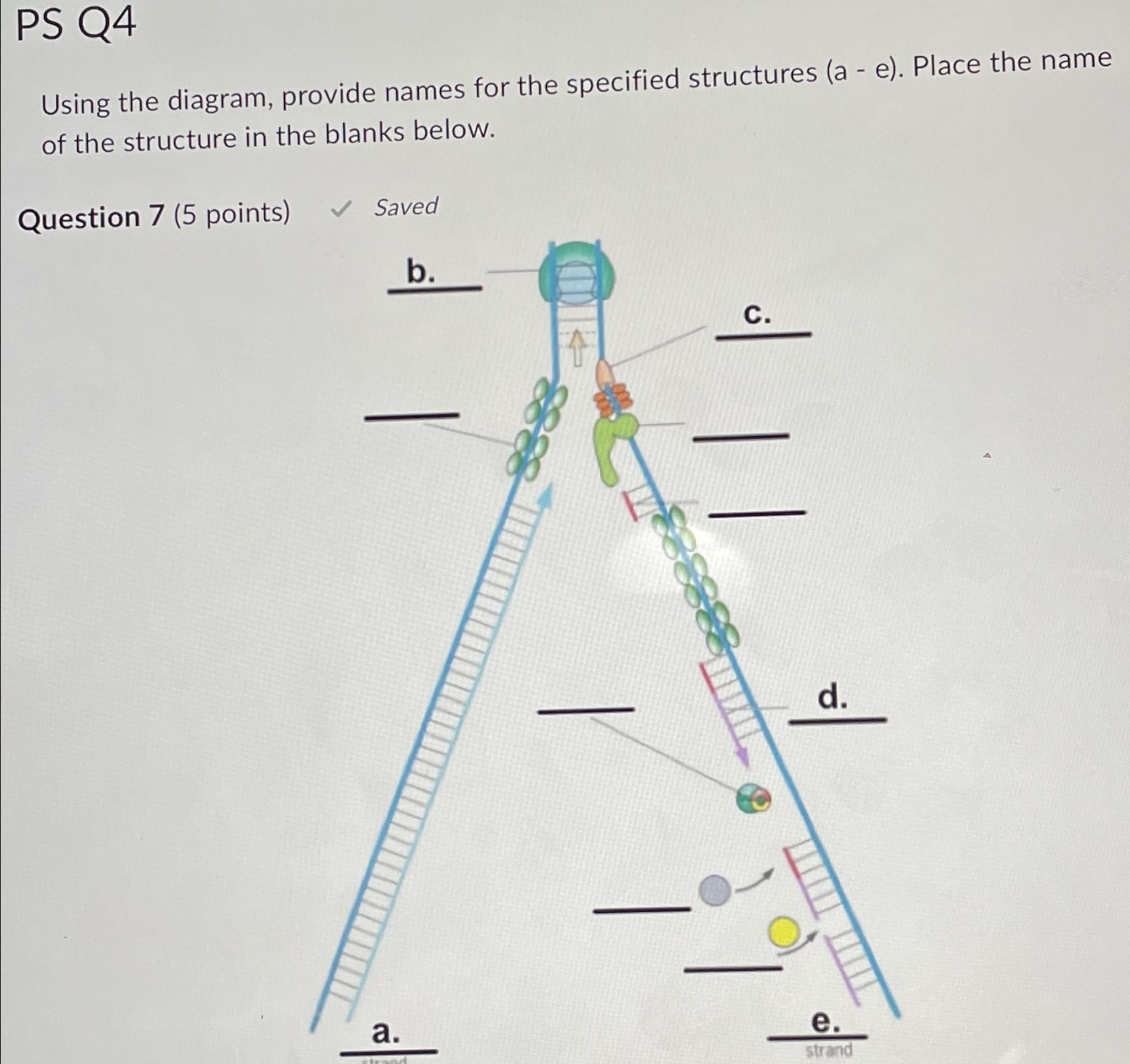 Solved PS Q4Using the diagram, provide names for the | Chegg.com