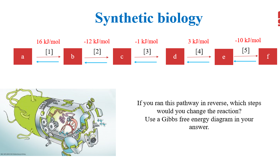 Solved Synthetic biologyIf you ran this pathway in reverse, | Chegg.com