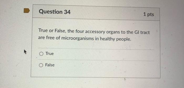 Solved D Question 12 1 pts True/False: 1/3 of the world's | Chegg.com Solved D Question 12 1 pts True/False: 1/3 of the world's | Chegg.com