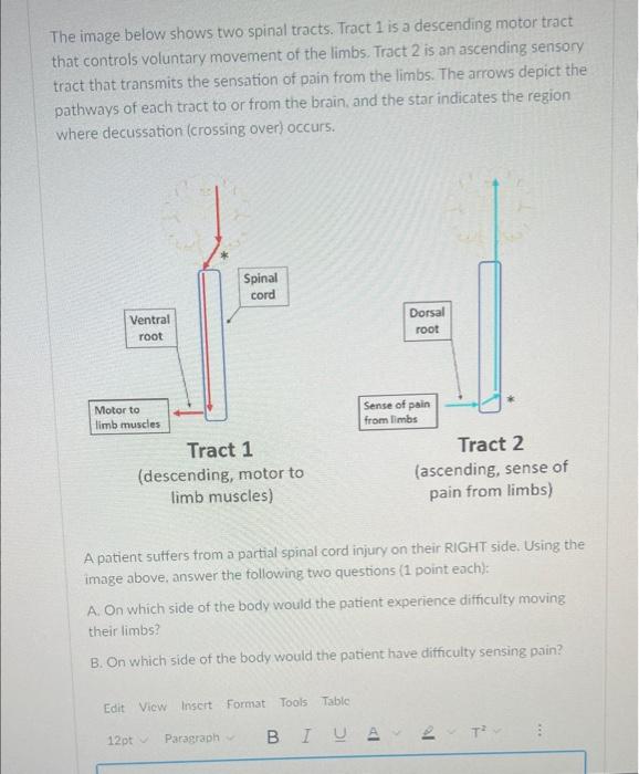 [Solved]: The image below shows two spinal tracts. Tract 1