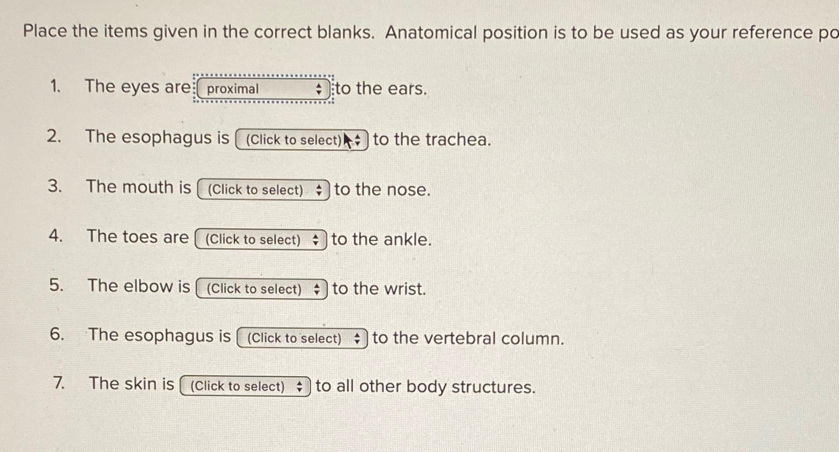 Solved Place the items given in the correct blanks. | Chegg.com